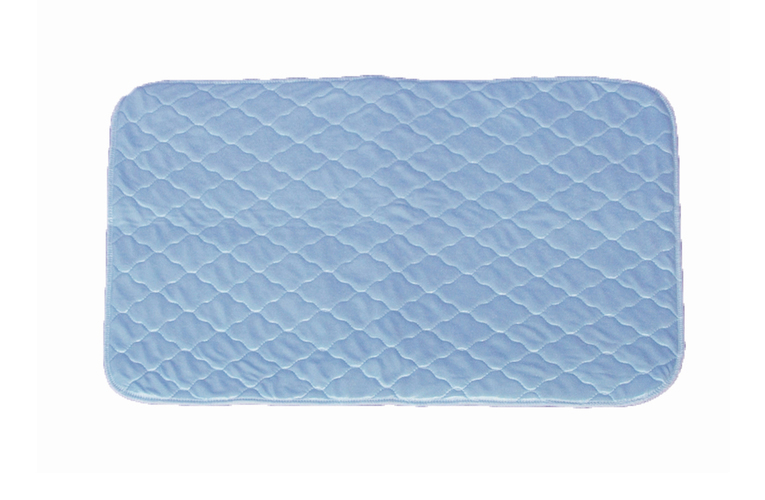 Absorbent Chair Pad (2515)